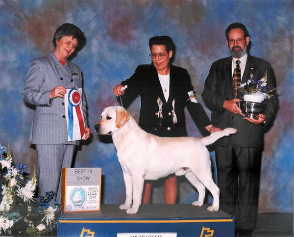 South County Kennel Club - club's url here.